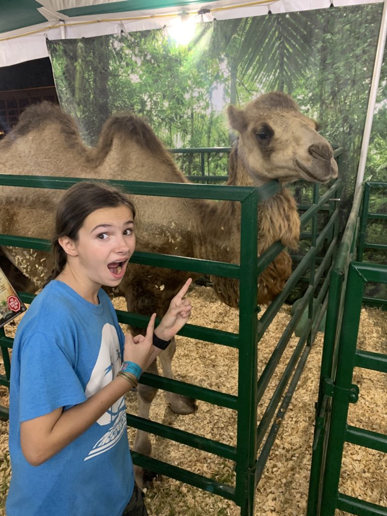 August 2019 Family Update - Bishop Family Farm